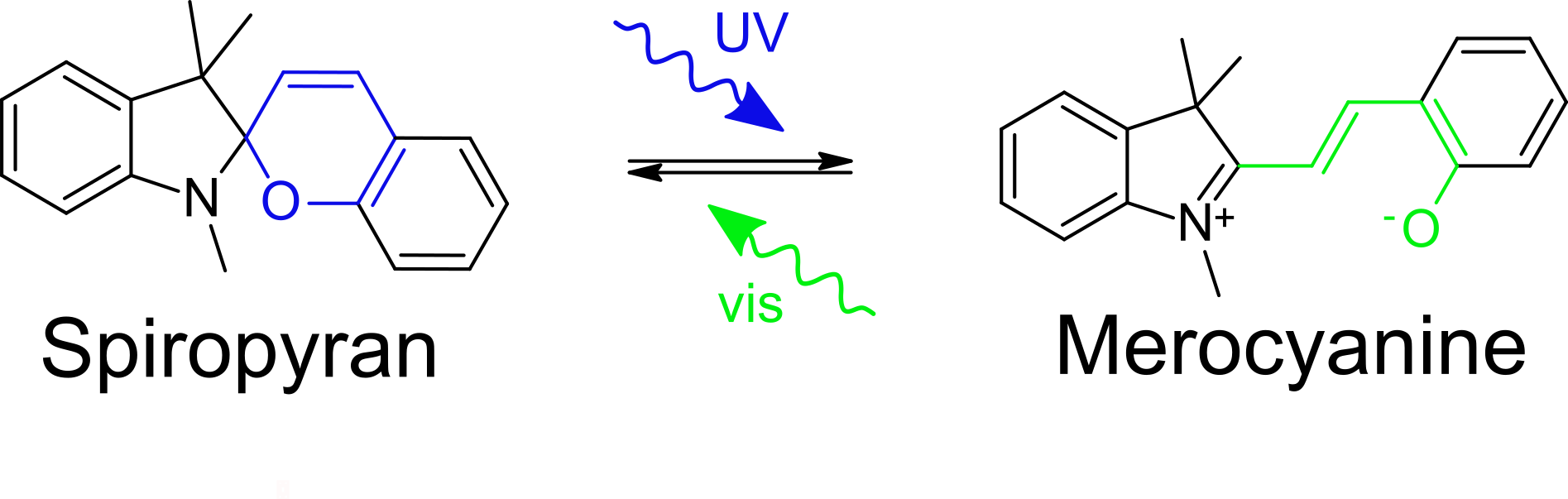 Group of Prof. Dr. Josef Wachtveitl