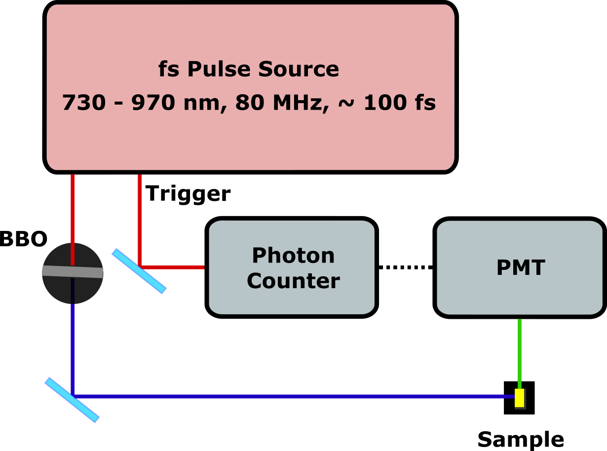 Group of Prof. Dr. Josef Wachtveitl